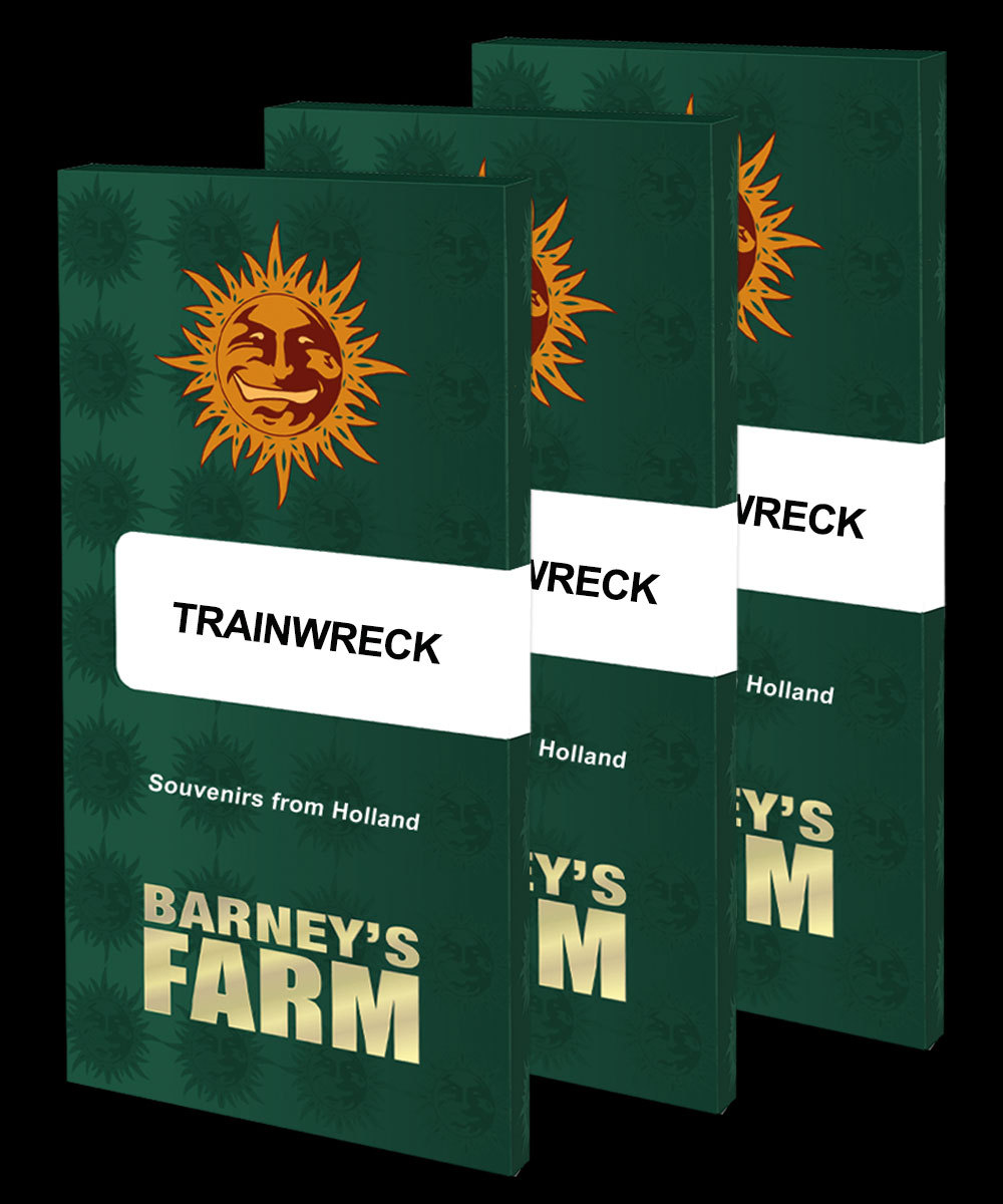 Trainwreck Strain Seeds | BARNEYS FARM USA